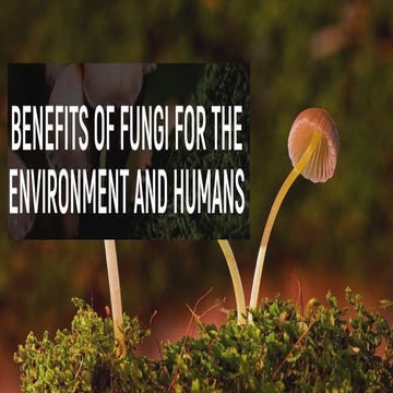FUNGI POWERPOINT PRESENTATION IN SCIENCE | PPTX