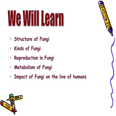 Fungi Presentation | PPT