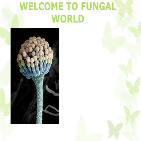 FUNGI (1).pptx classification and importance | PPTX