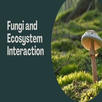 Mutualism and Neutralism | PPTX