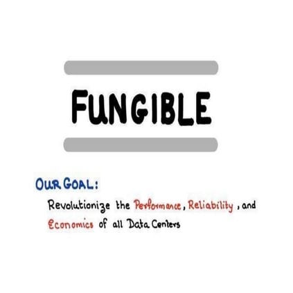 Fungible Pitch Deck | PPT