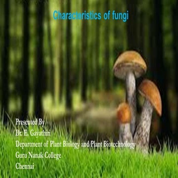 Fungi characteristic features | PPT