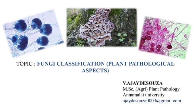 Classification of fungi proposed by Ainsworth (1971) | PPTX
