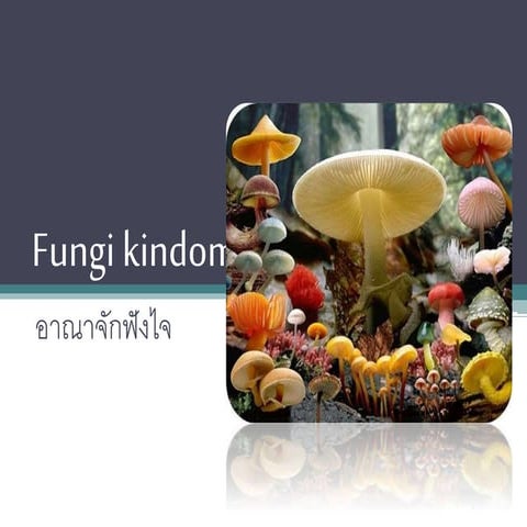 Fungi kindom | PPT | Free Download