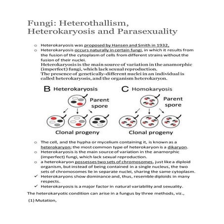 Fungi (Mycology) Important terms. | DOCX
