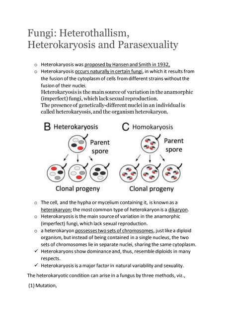 HETEROKARYOSIS IN FUNGI- GENETICALLY DIFFERENT NUCLEI | PPTX ...