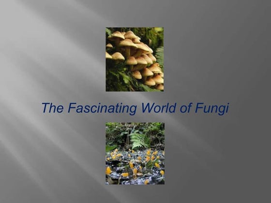Fungi | PPT
