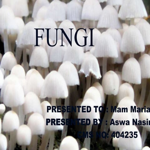 Fungi presentation | PPTX