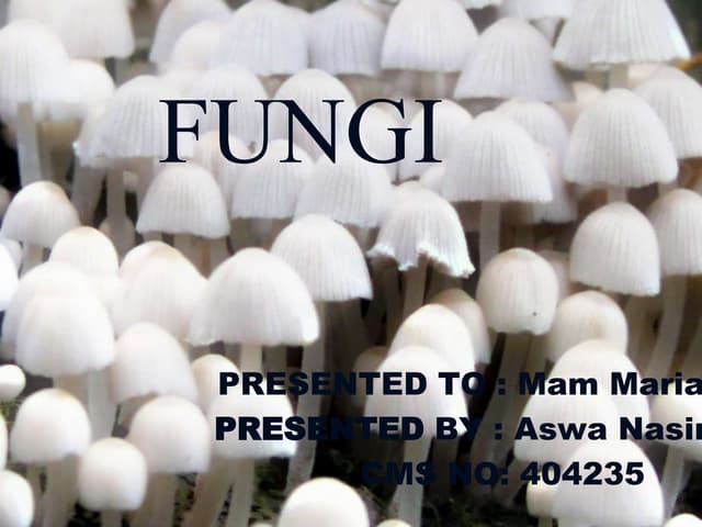 Introduction and Classification of Fungi | PPTX