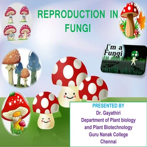 Sexual reproduction in Fungi | PPTX