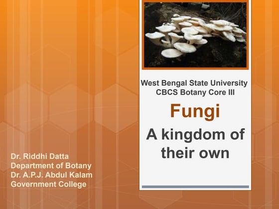 cell Structure of fungi unicellular and multicellular | PPTX