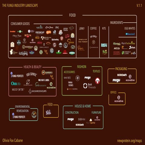 The fungi industry landscape, V.1.1 | PDF