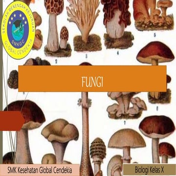 Fungi (x) | PPT