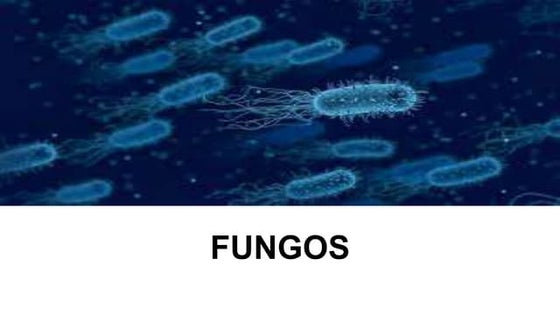 Doenças causadas por fungos | PPT