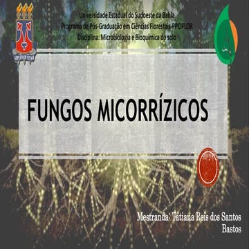 Comprehensive Study of Soil Horizons and Pedogenetic Processes in ...