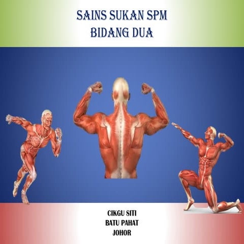 fungsi sistem tubuh badan.pdf