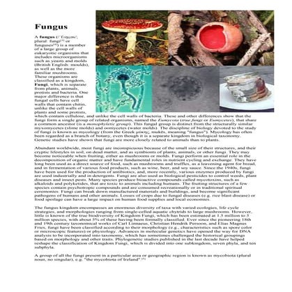 Fungus | DOCX | Biological Sciences | Science