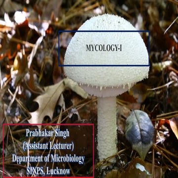 Medical Mycology, Infection or Disease Part-1.pptx