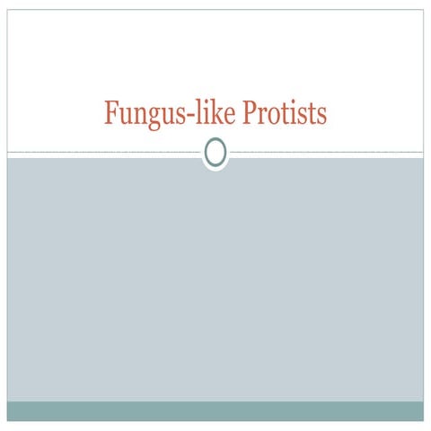 Fungus like protists | PPT