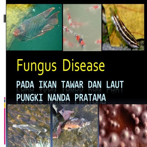 Fungus disease of Fresh water and marine | PPTX