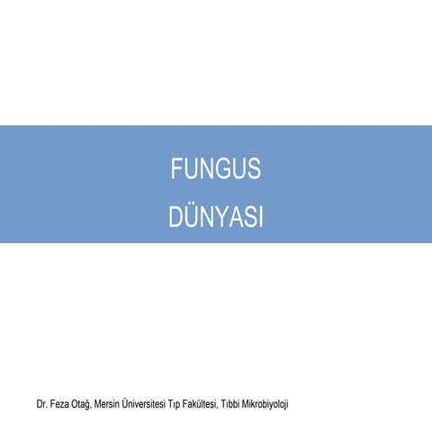 Fungus Dünyası | PPT