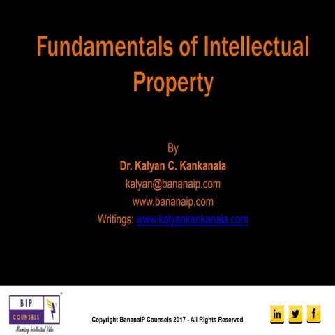 Fun IP Presentation | PPT