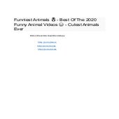 Funniest Animals рџђ Docx