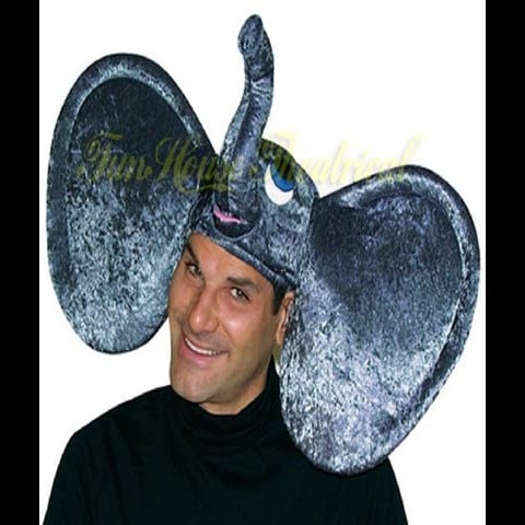 Funny And Crazy Hats | PPT