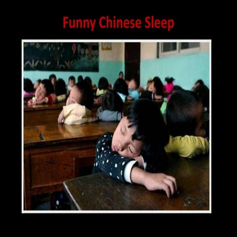 Funny chinese sleep | PPT