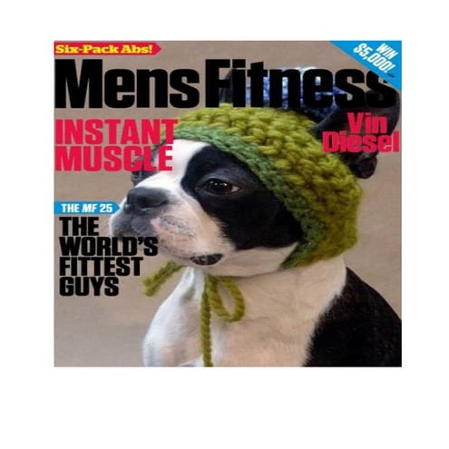 Funny dog funny picture gallery | PDF