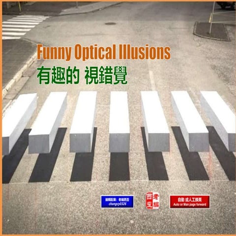 Funny Optical Illusions (有趣的視錯覺).ppsx