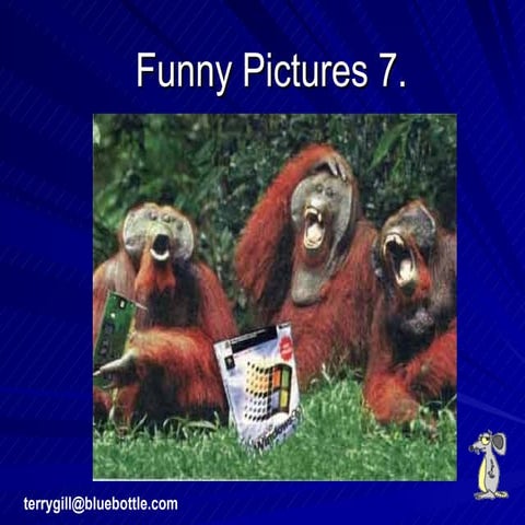 Funny Pictures 07 | PPS