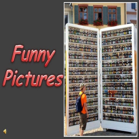 Funny pictures (v.m.) | PDF