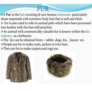 Fur industry pdf | PDF