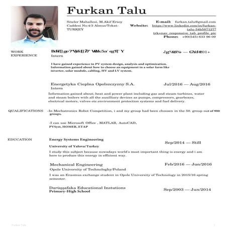 Furkan talu eng cv | PDF