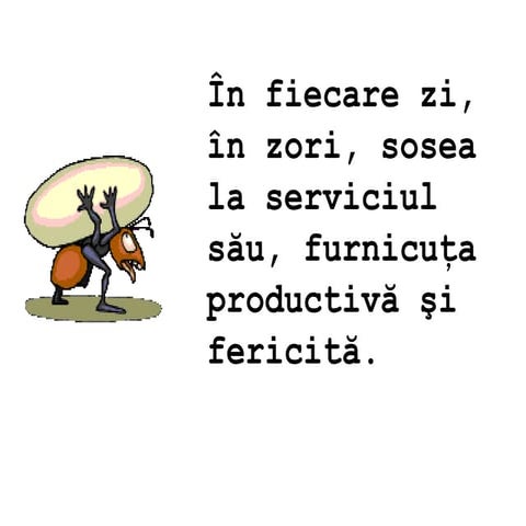 Furnicuta Fericita | PPS