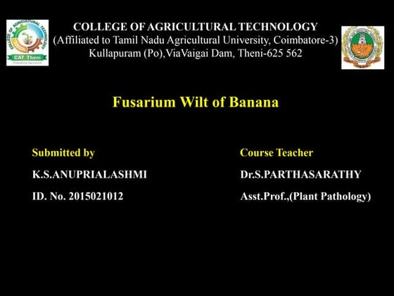Banana pest sirpat badhai ent-311 | PPT