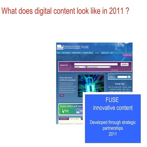 Fuse projects cultural orgs 2011 | PPT | Education