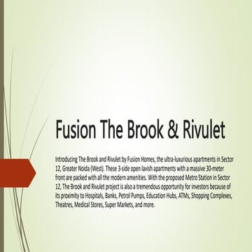 Fusion The Brook & Rivulet.pptx