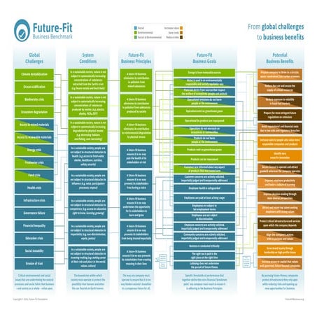 Future-Fit-Business-Benchmark-Map-Summary-R1.02.pdf