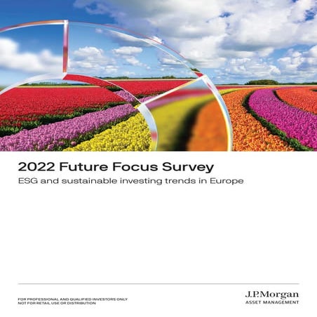 Future Focus Survey 2022 | PDF