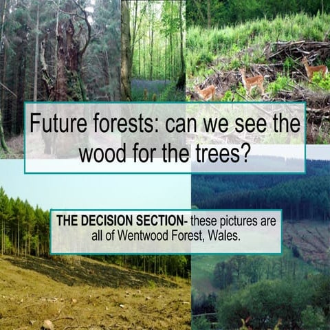 Future Forests The Decision V1 | PPT