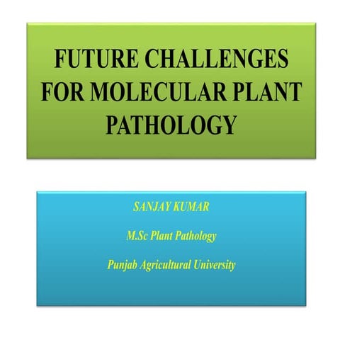 Future challenges for molecular plant pathology | PPTX | Gardening ...