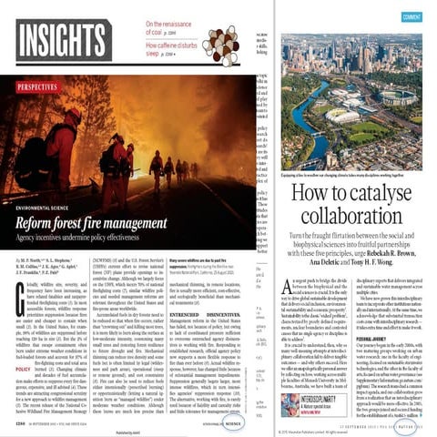 Writing scientific commentaries | PDF