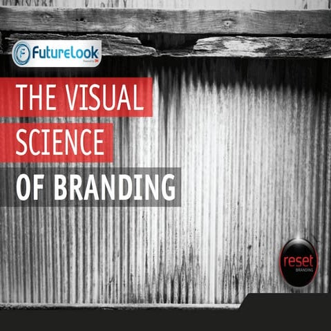 The Visual Science of Branding | PDF