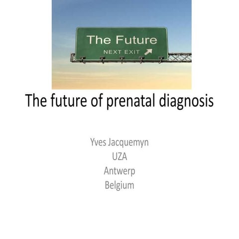 Future of pnd - Eurocat 2011 | PPT