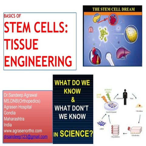 Future orthopedics basics of stem cells and tissue engineering dr ...