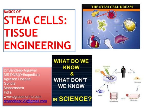 3D cell cultures | PPT