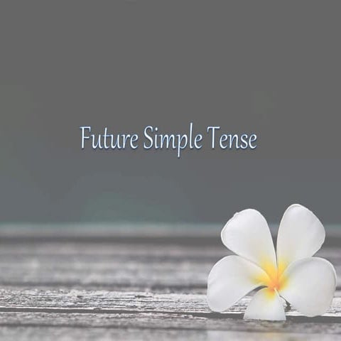 Future simple tense | PPTX