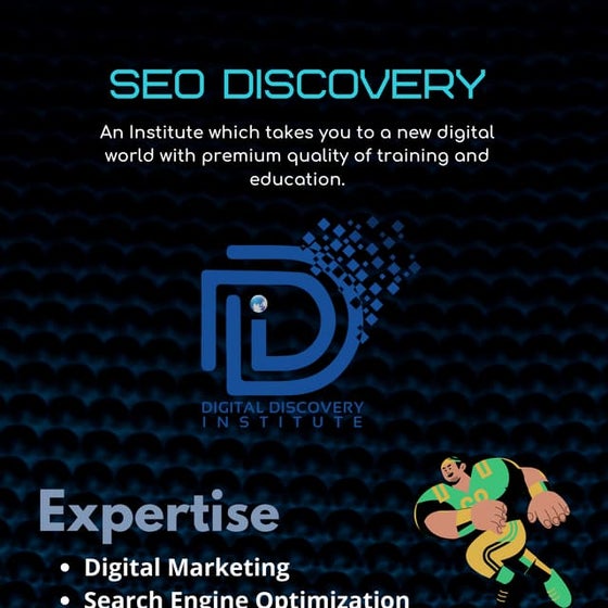 Digital Discovery Institute Infographic | PDF